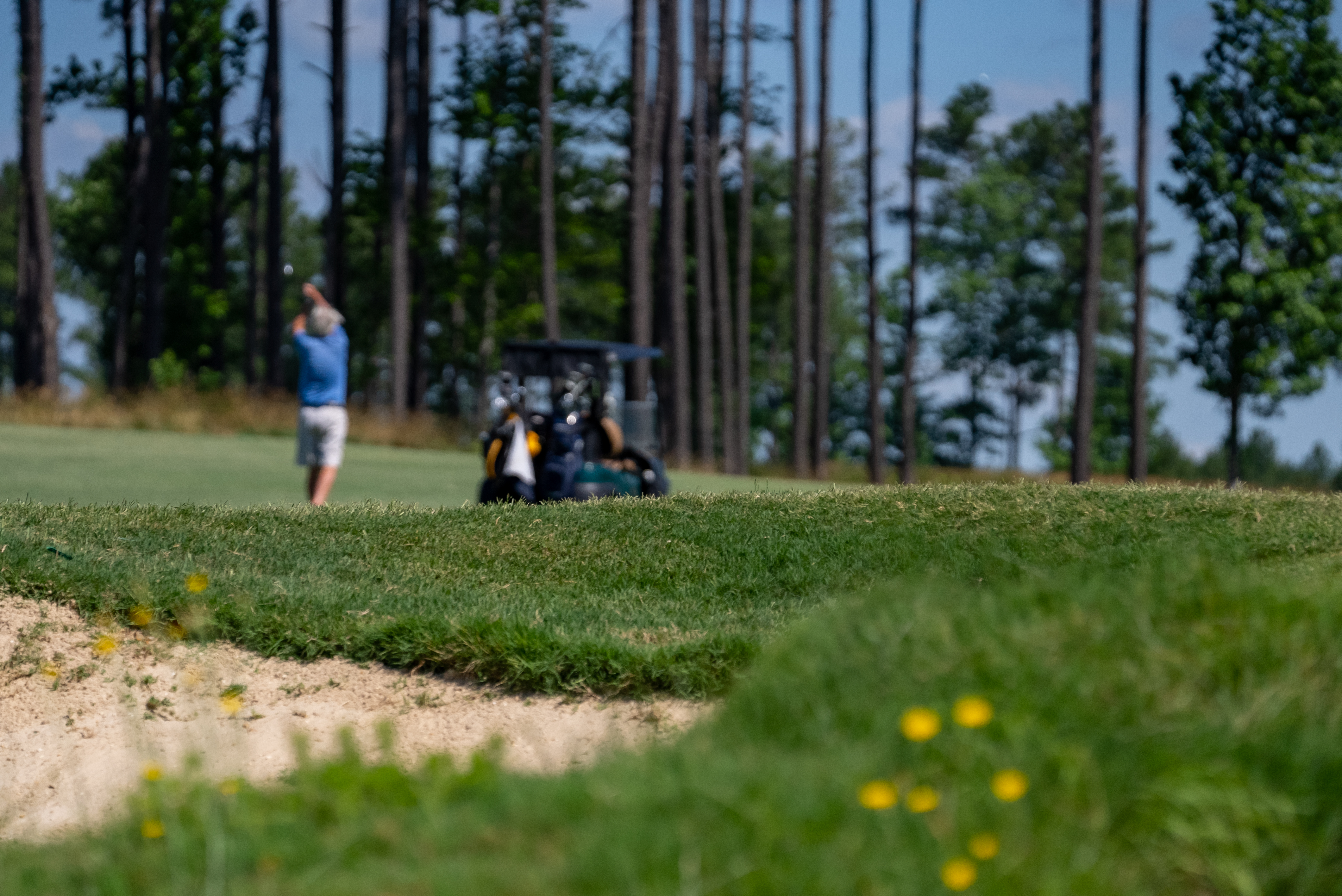 The Course - Magnolia Green Golf Club